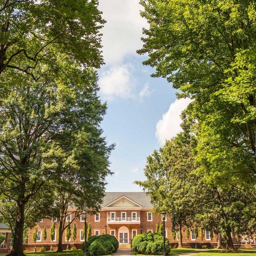 Learning Collaboratively | Guilford College