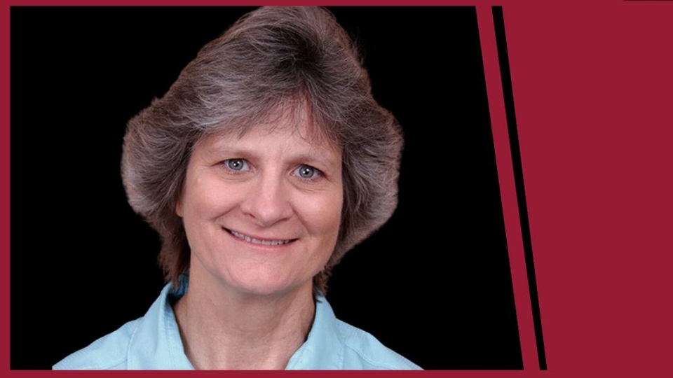 Provost Names Faculty Members-in-residence | Guilford College